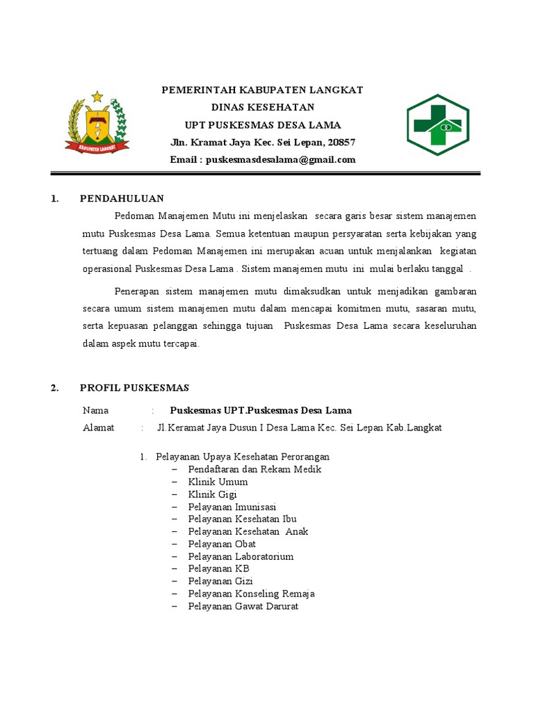 Draft Pedoman Mutu Puskesmas | PDF