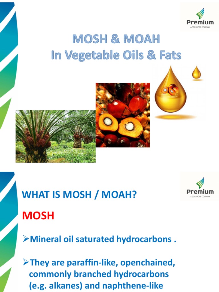 R&D - Mosh & Moah | PDF