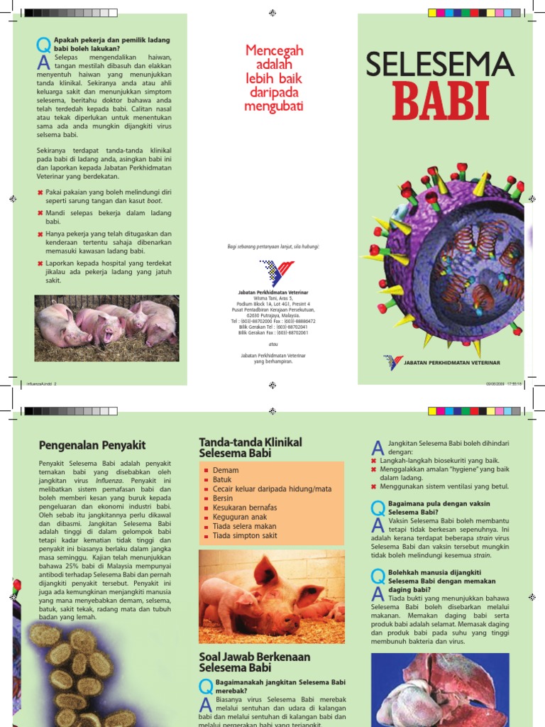 Selsema Babi | PDF