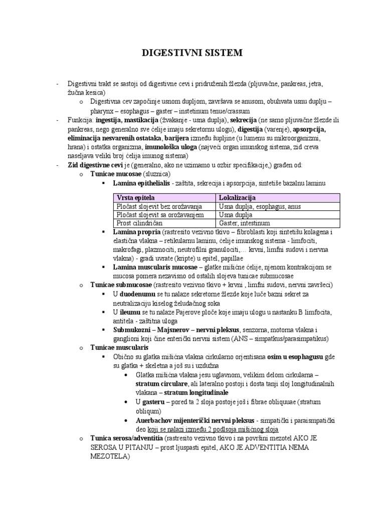 Digestivni Sistem | PDF