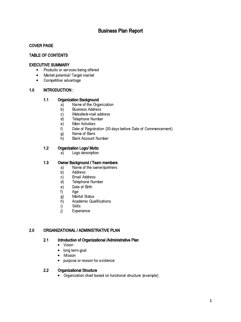 Format - Business Plan Report | PDF | Pricing | Marketing