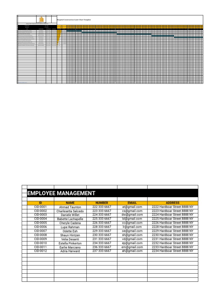 Hospital Construction Gantt Chart Template | PDF