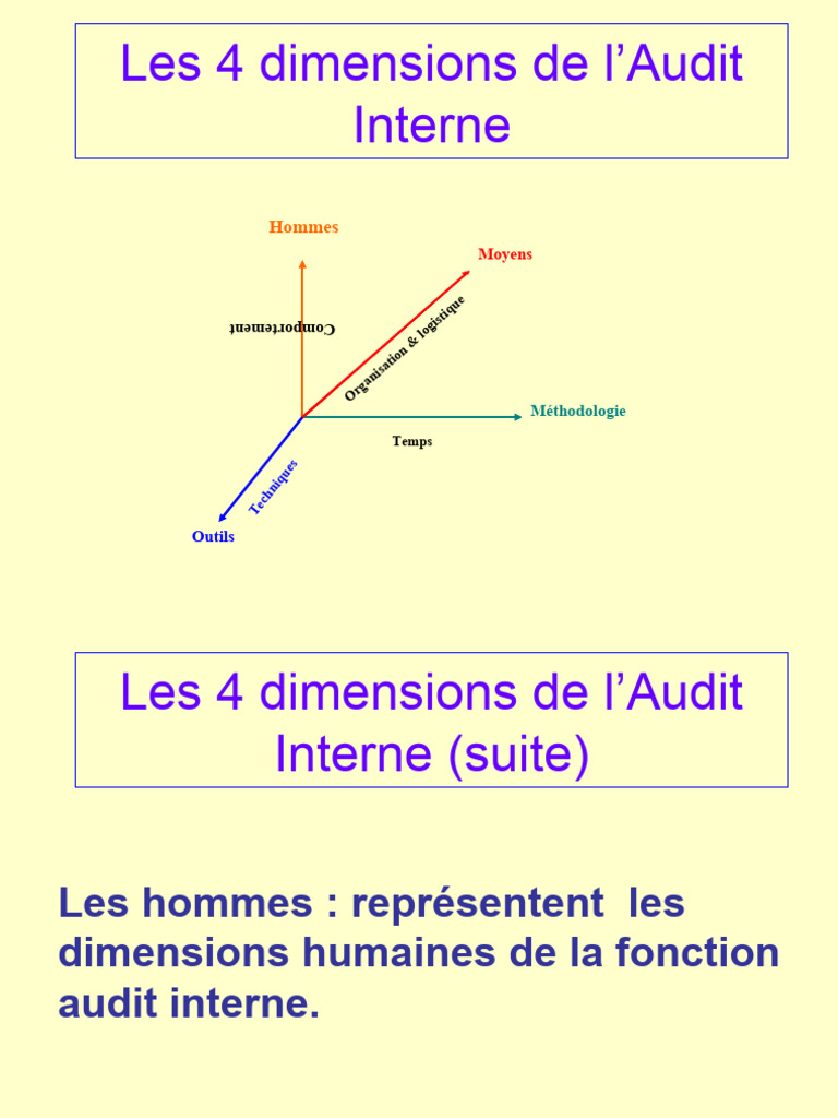 Les 4 Dimensions de L'audit Interne | PDF