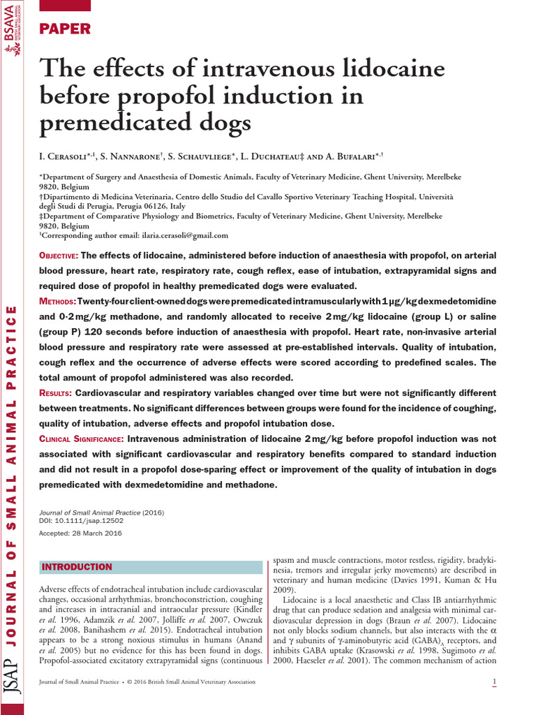 The Effects of Intravenous Lidocaine | PDF | Anesthesia | Clinical Medicine