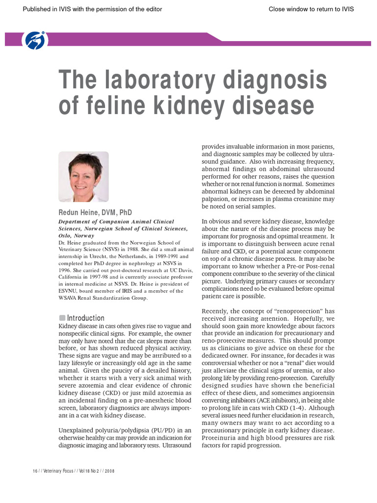 The Laboratory Diagnosis of Feline Kidney Disease | PDF | Creatinine ...