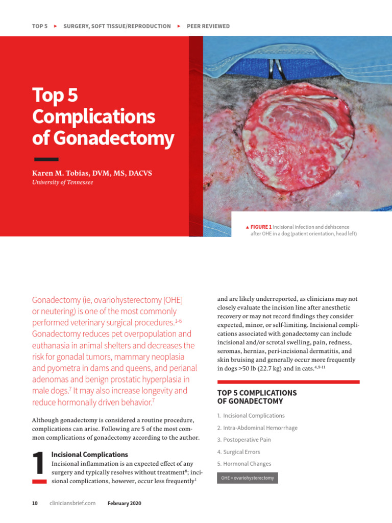 Top Complications of Gonadectomy | PDF | Neutering | Surgery