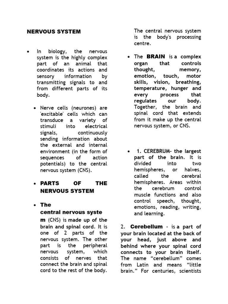 Science Q3 Nerv - System | Download Free PDF | Central Nervous System ...