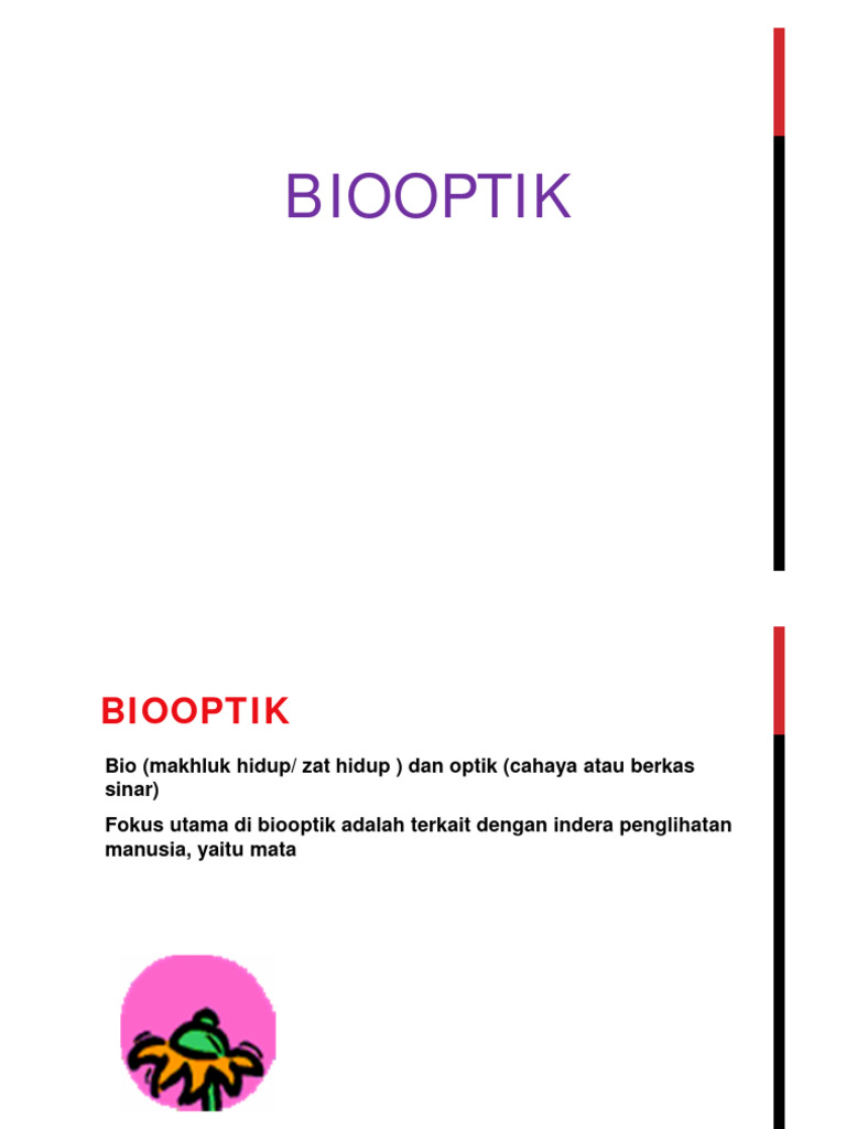 Konsep Dasar Biooptik dalam Keperawatan | PDF