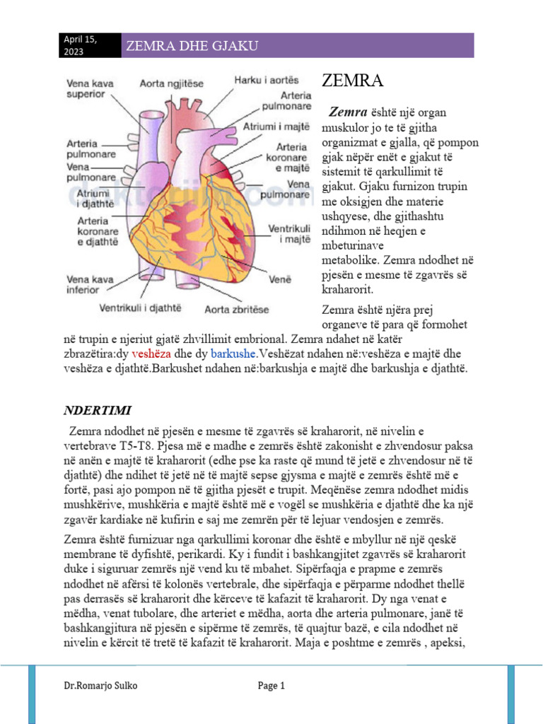 ZEMRA Dhe GJAKU | PDF