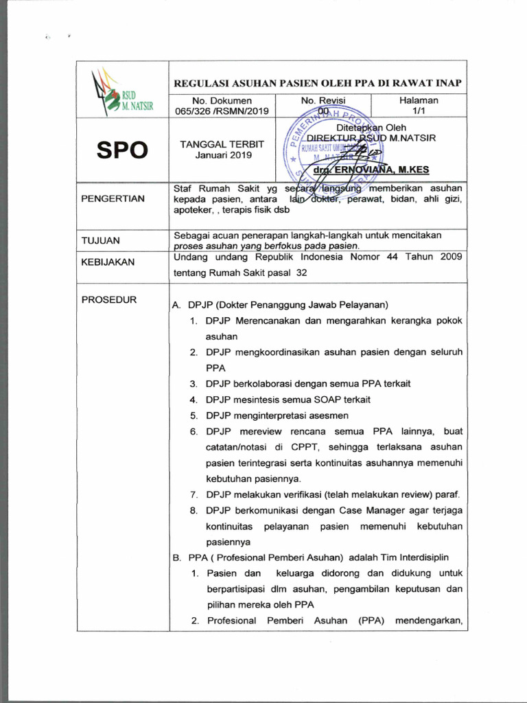 Regulasi Asuhan Pasien PPA | PDF