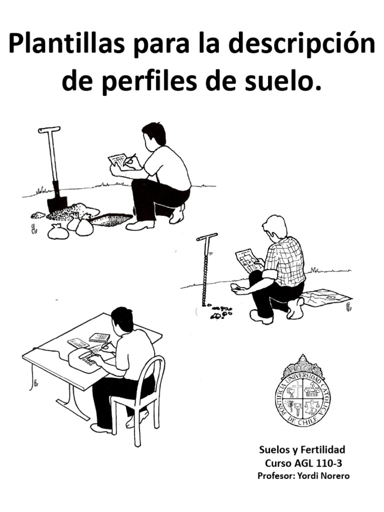Plantillas para Descripción Del Perfil de Suelo | PDF | Suelo | Materiales