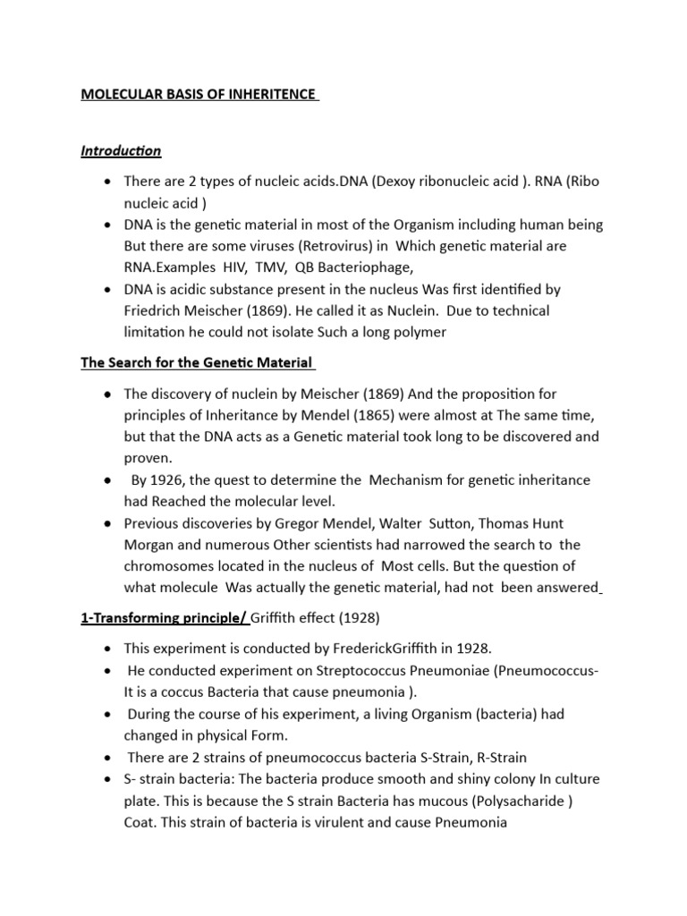 Molecular Basis of Inheritance | PDF | Translation (Biology) | Genetic Code