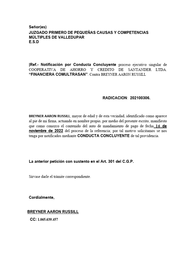 Formato Conducta Concluyente | PDF