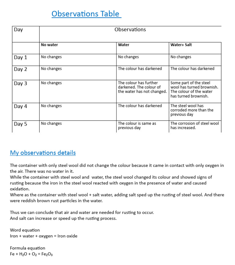 Science Experiment - On Rusting | PDF