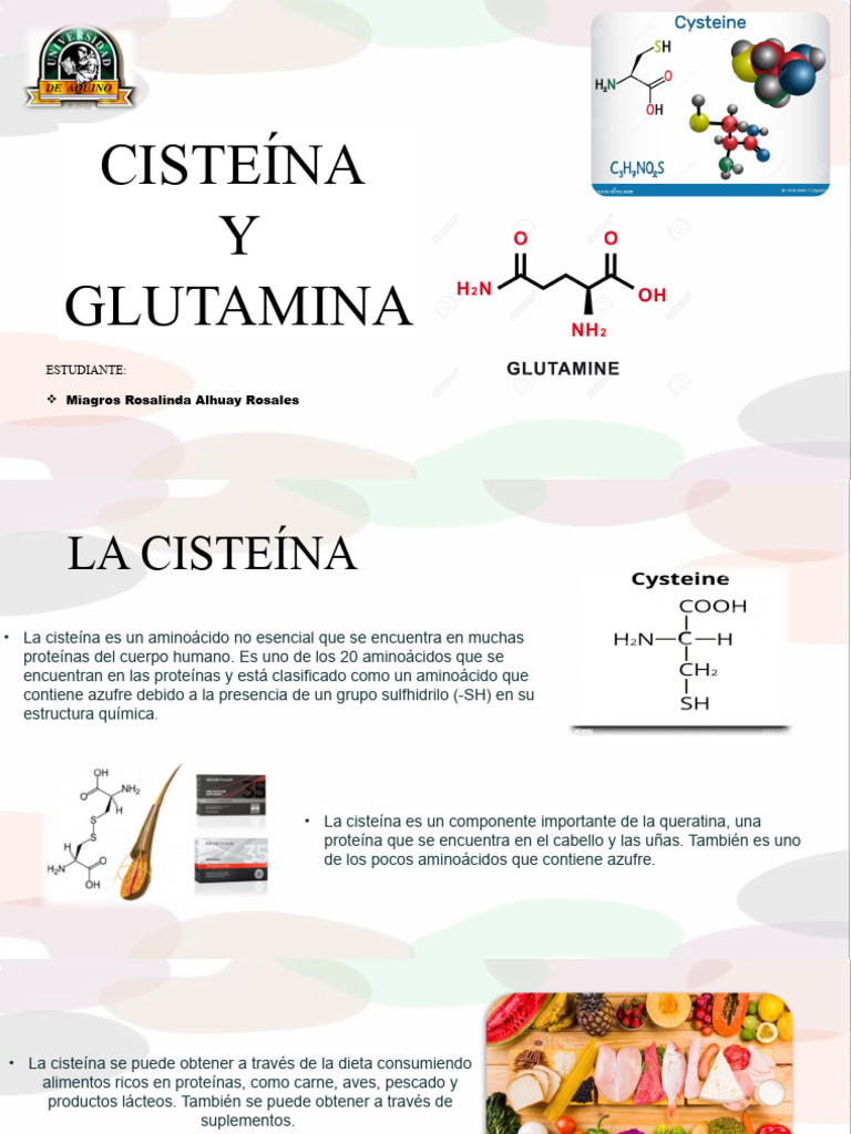 Cisteina y Glutamina | PDF | Cisteína | Proteínas
