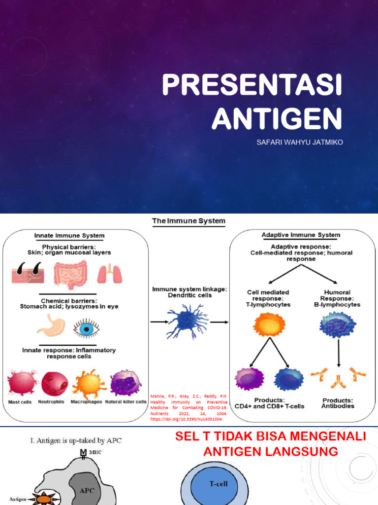 Presentasi Antigen | PDF | Antigen | T Cell
