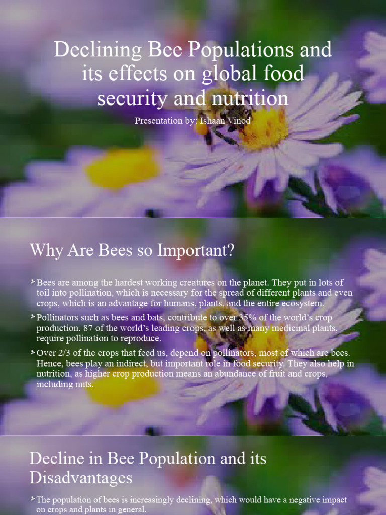 Declining Bee Populations Pose Threat To Global Food Security and ...
