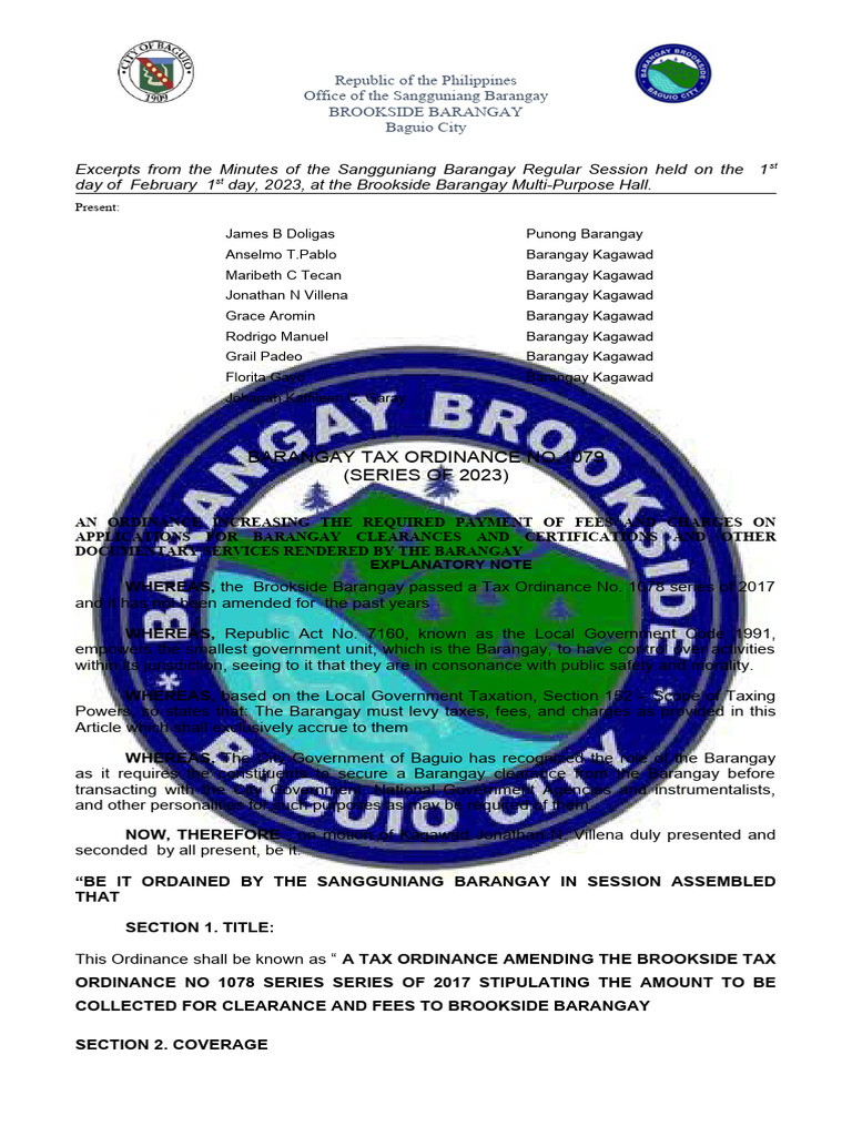 2023 Barangay Tax Ordinance | PDF | Taxes
