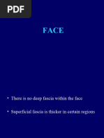 Facial Muscles Lateral View Diagram | PDF | Soft Tissue | Human Anatomy
