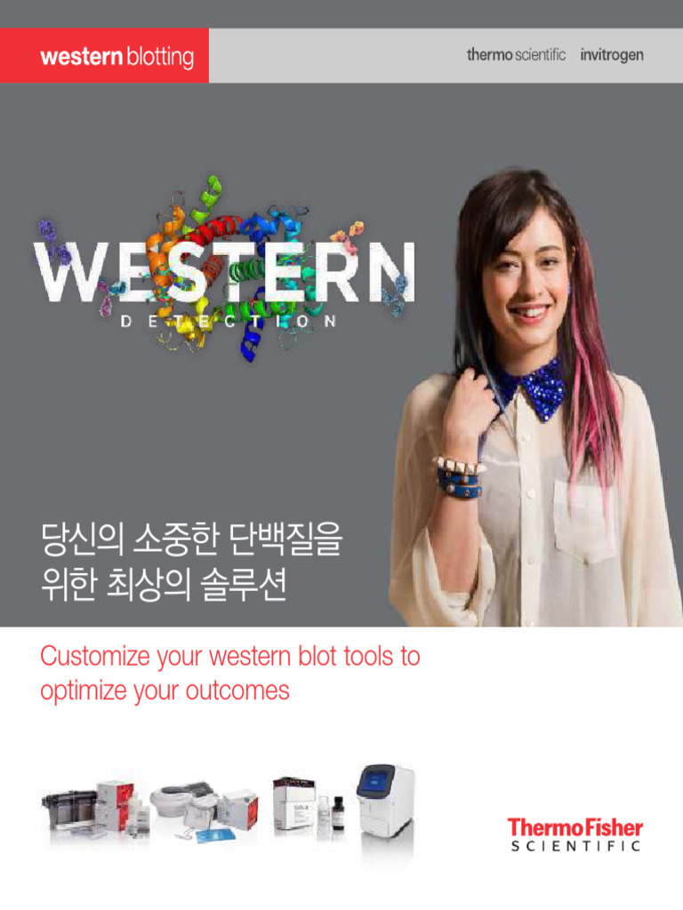 9+ +10.+Western+Blot+Solution KR Compressed Compressed2 Compressed+PDF - Io | PDF