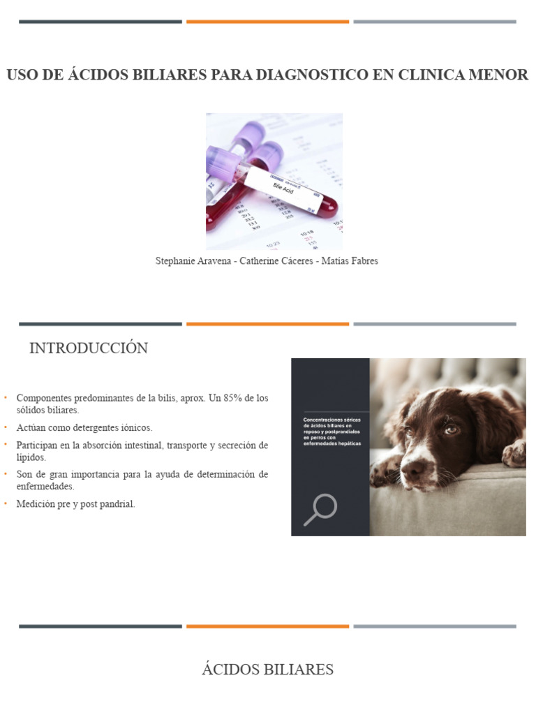 Diagnóstico de Enfermedades Hepáticas con Ácidos Biliares | PDF | Bilis | Diagnostico medico