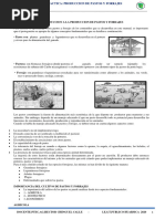 Ficha Técnica Del Pasto Imperial (Axonopus Scoparius, Hitchc) | PDF ...