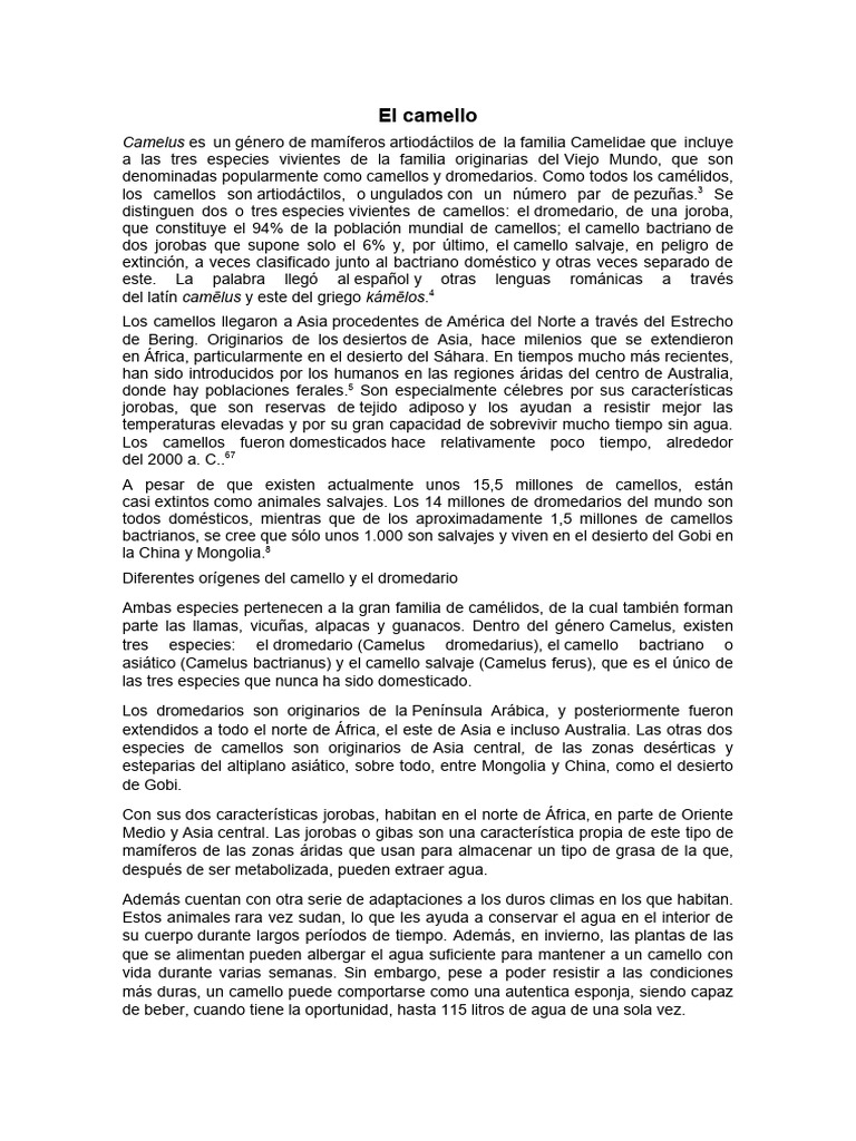 El Camello | PDF | Camello | Animales domesticados
