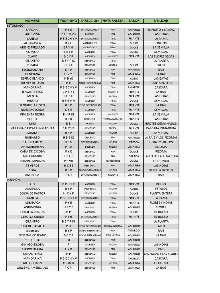 Plantas para Cada Órgano 2 | PDF | Qi | Jengibre