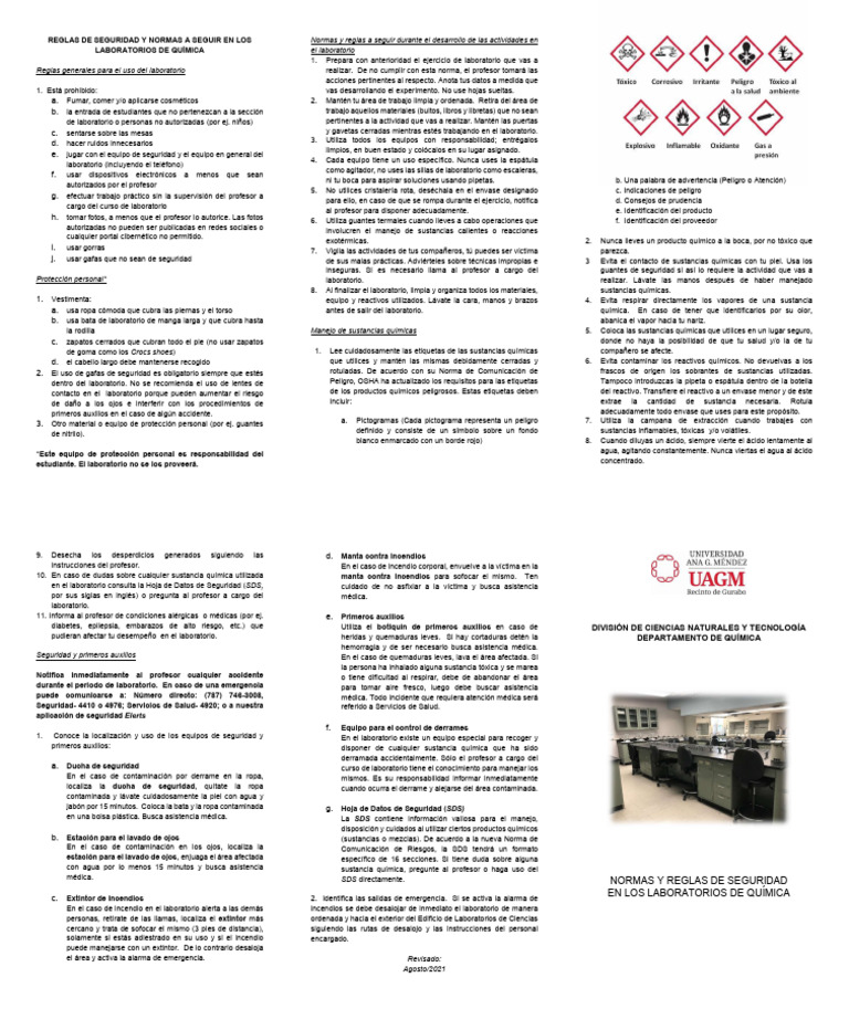 Reglas de Seguridad - Química - 2021 - 08 (87162) | PDF | Primeros ...