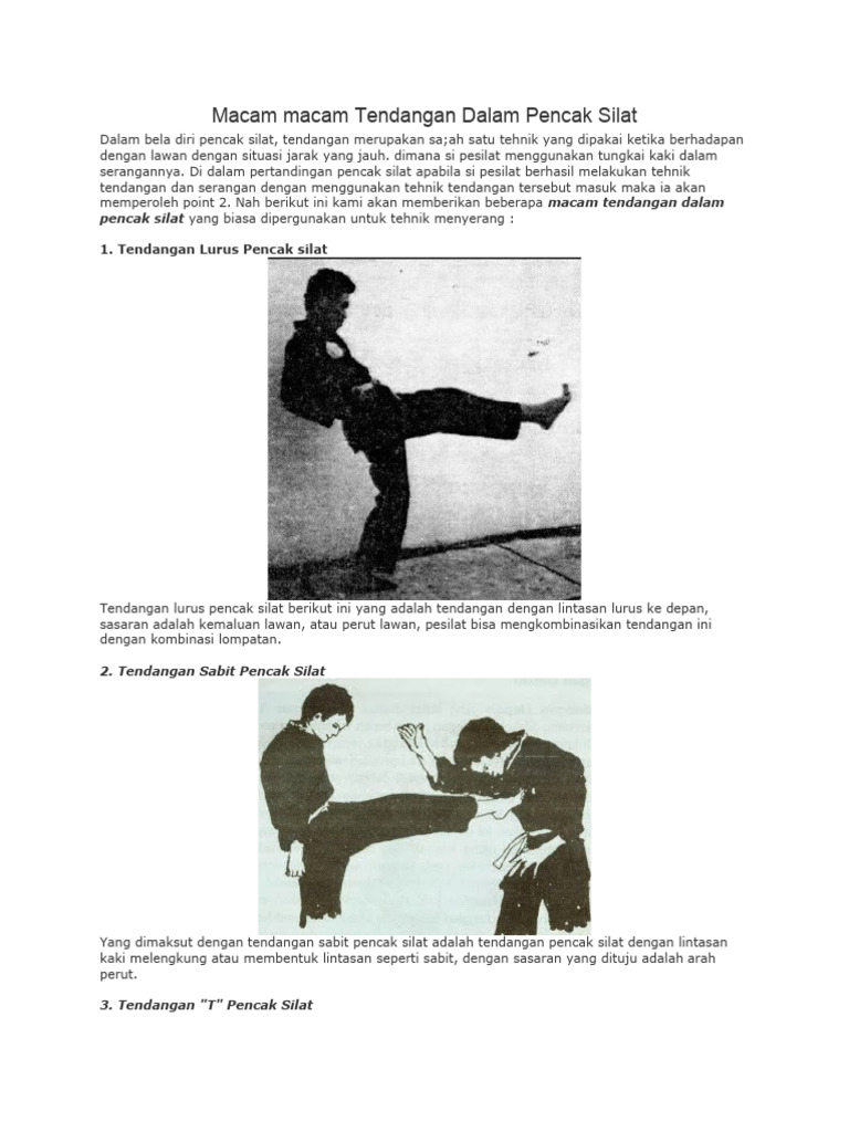 Macam Macam Tendangan Dalam Pencak Silat | PDF