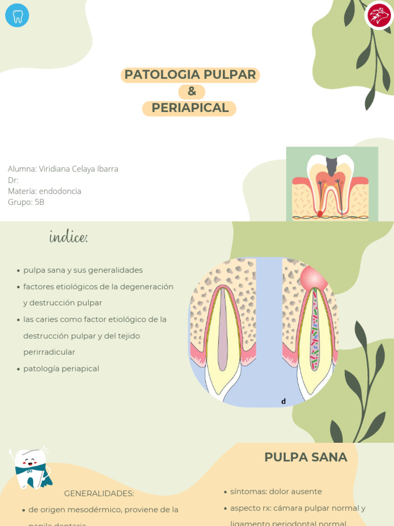 Patologia Pulpar & Periapical | PDF | Epidemiología | Ciencias de la Salud