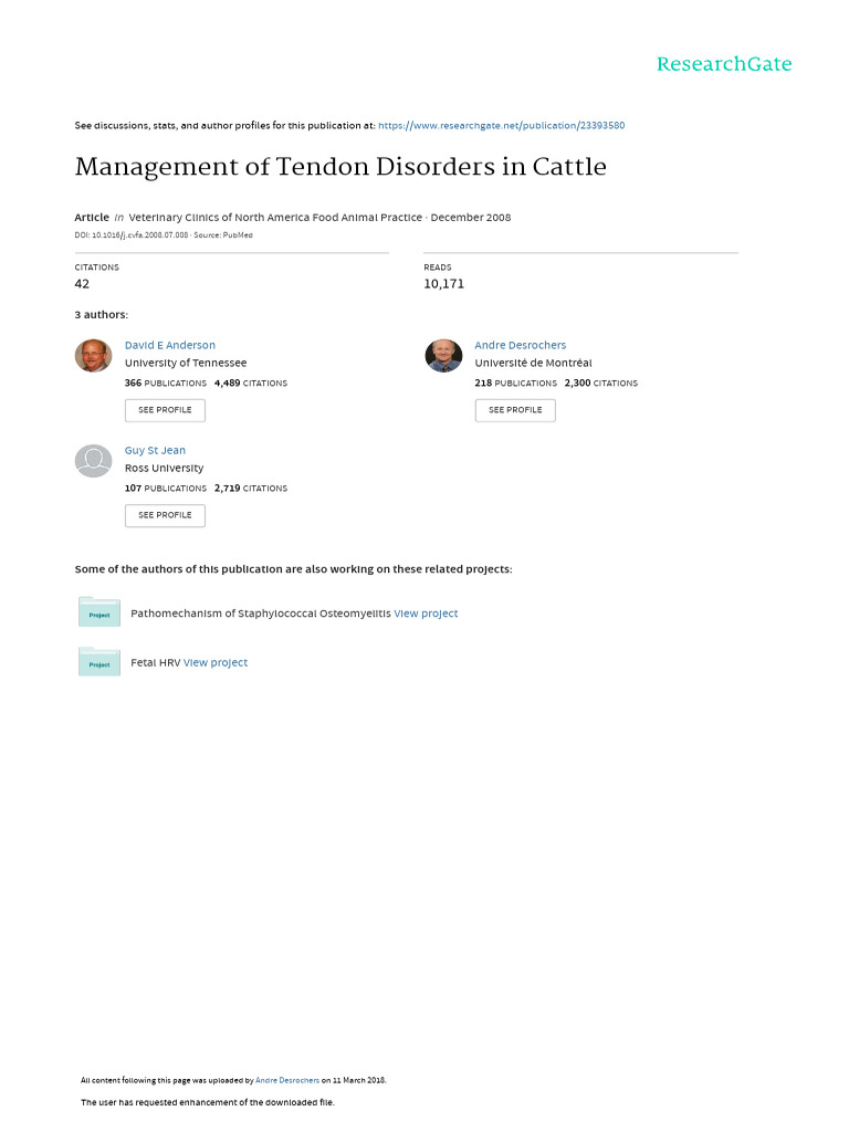 Management Tendon Disorders VCNA Anderson 2008 | PDF | Sepsis | Foot