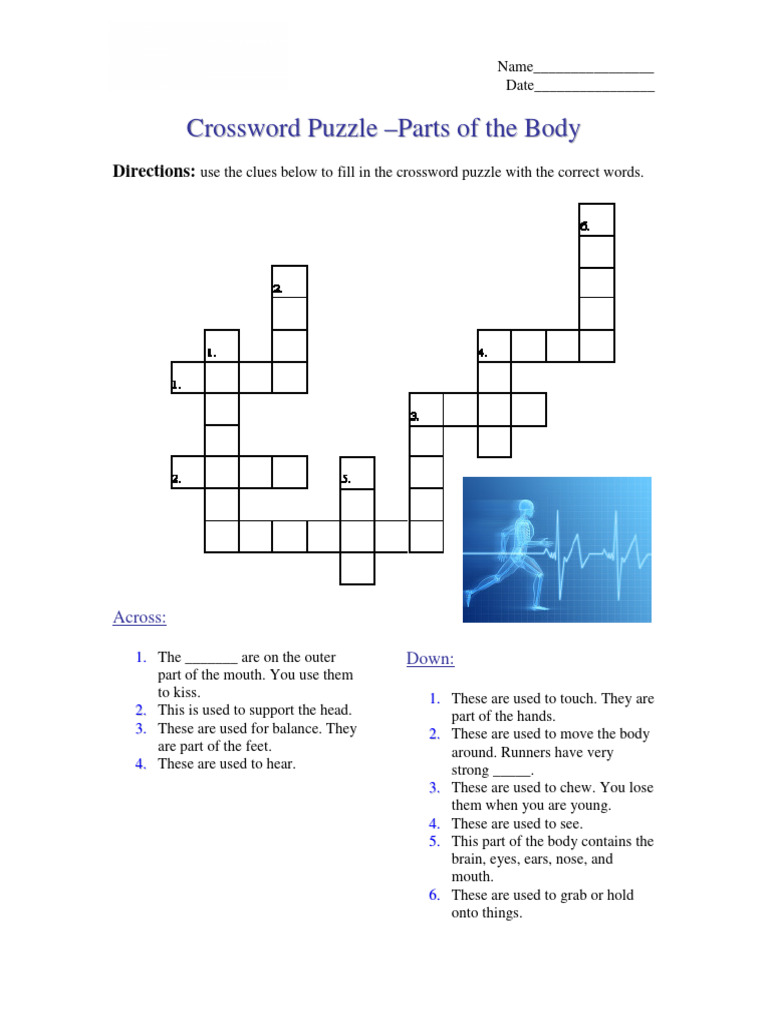 Intermediate Crossword Puzzle - Parts of The Body | PDF
