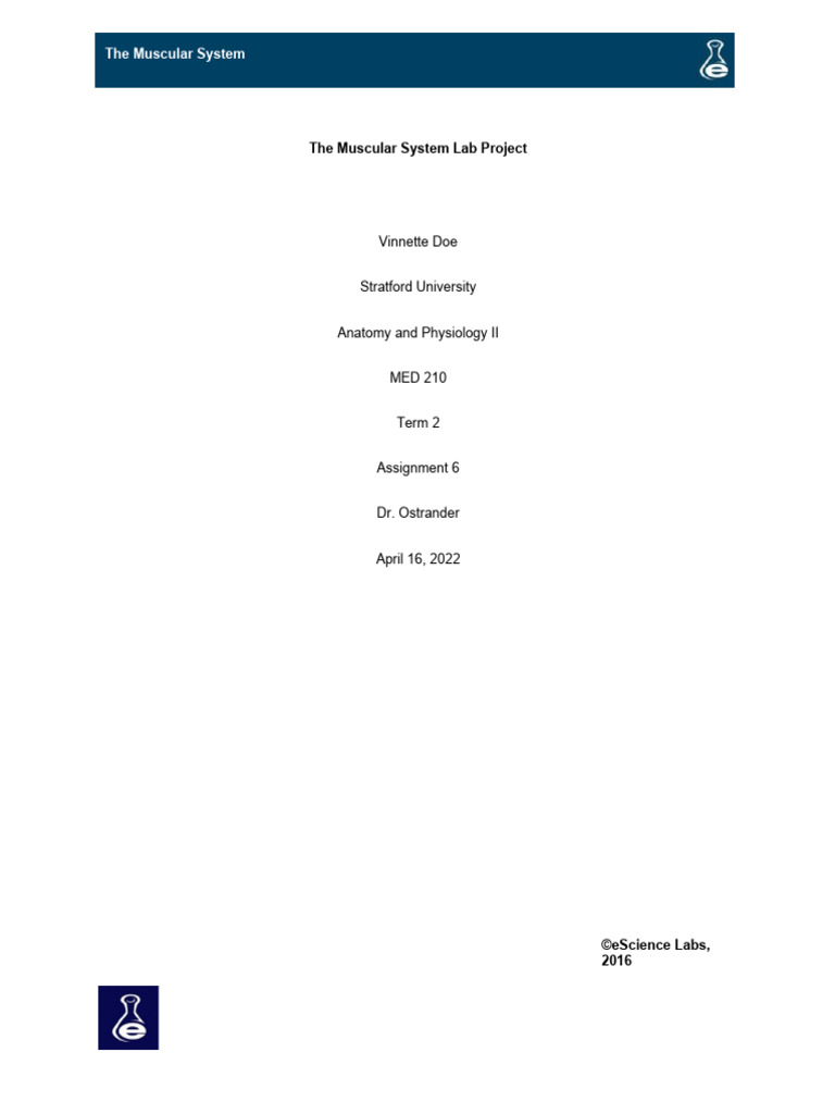 Muscular System Lab Project | PDF | Anatomical Terms Of Motion | Muscle ...