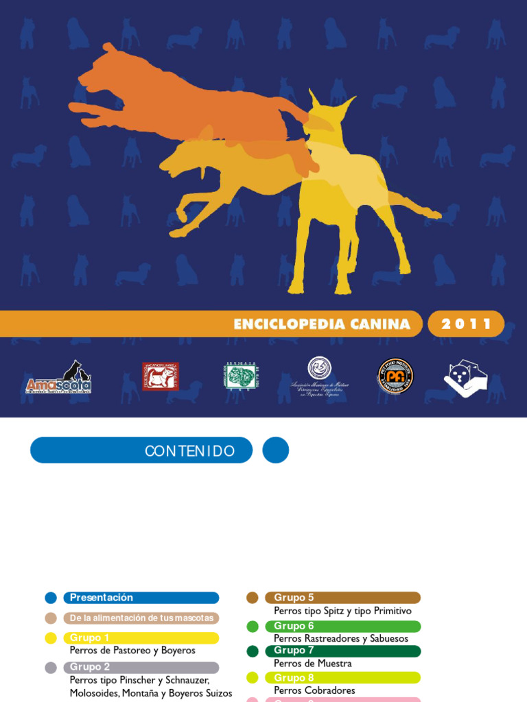 Grupo 1 FCI | PDF | Alimentos | Nutrición