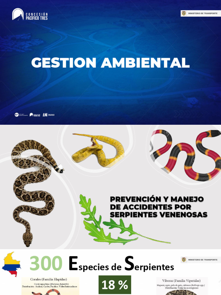 Prevención de Accidentes por Serpientes Venenosas | PDF | Salud y bienestar