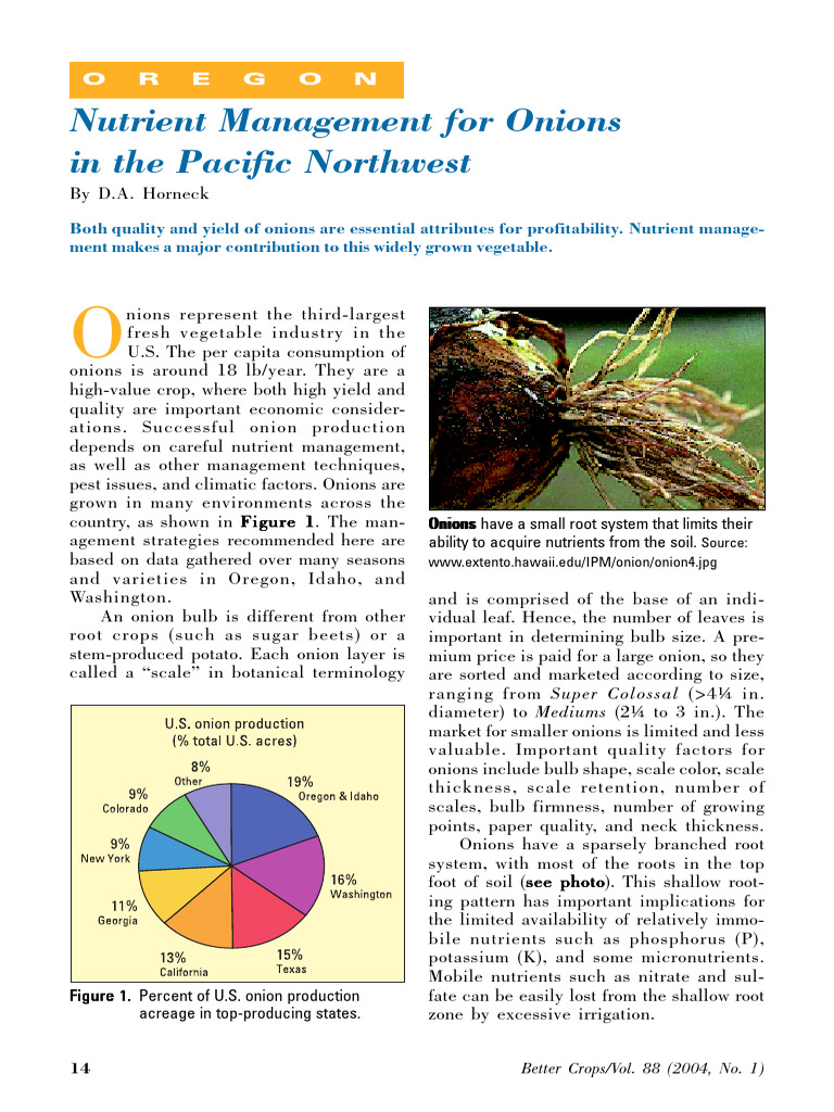 Better Crops 2004-1 p14 | PDF | Fertilizer | Onion