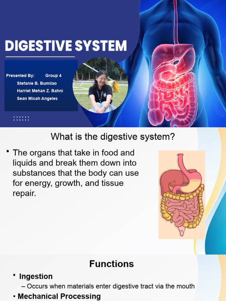 Anaphy PPT Digestive Sysytem | PDF | Gastrointestinal Tract | Stomach