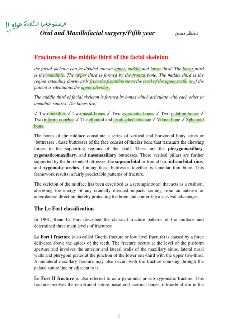 L3 Mid-Face Fracture | PDF | Human Anatomy | Musculoskeletal System