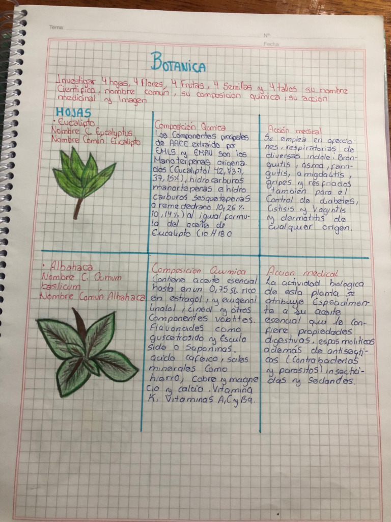 Botanica Album | PDF
