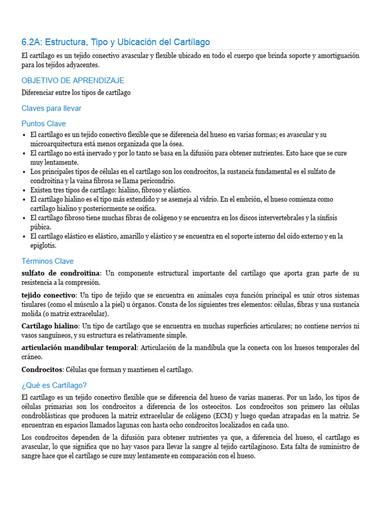 Ubicación y Tipos de Cartílago Elástico | PDF | Cartílago | Articulación