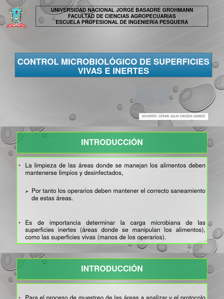 Control Microbiológico de Superficies Vivas e Inertes | PDF | Alimentos ...