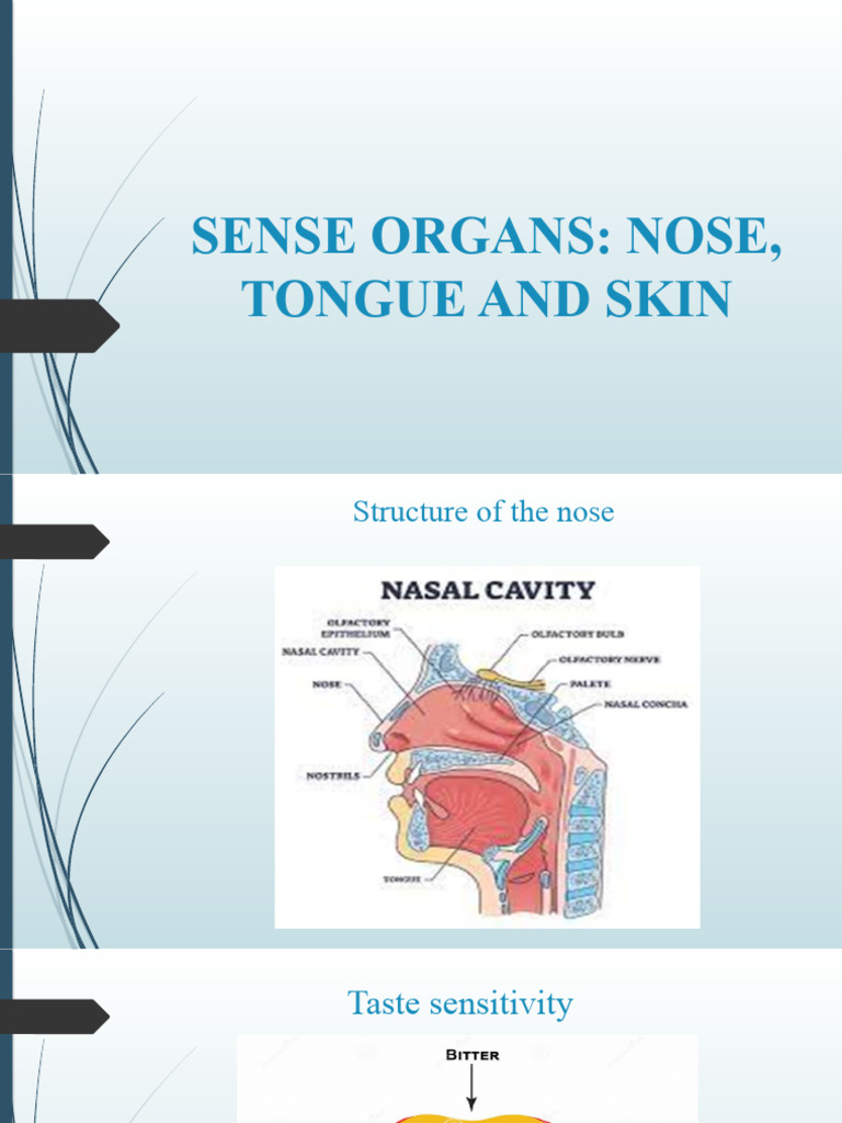 SENSEORGANS Nose, TongueandSkine3g5iy14 | PDF | Wellness