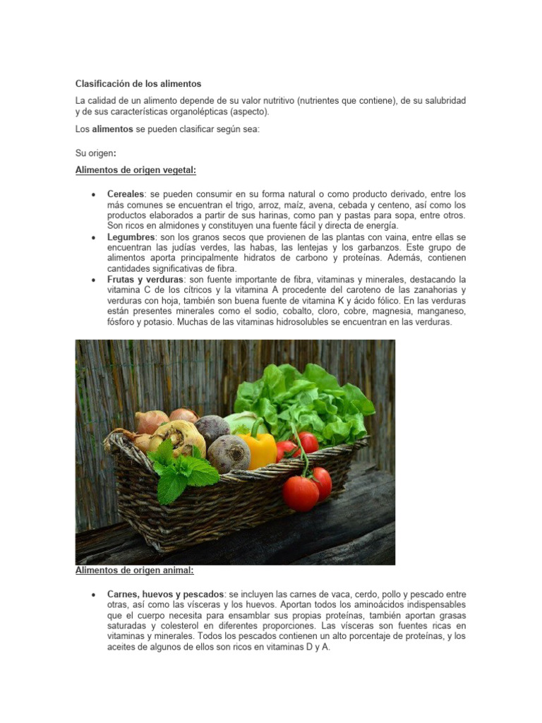 Clasificación de Los Alimentos | PDF | Alimentos | Nutrición