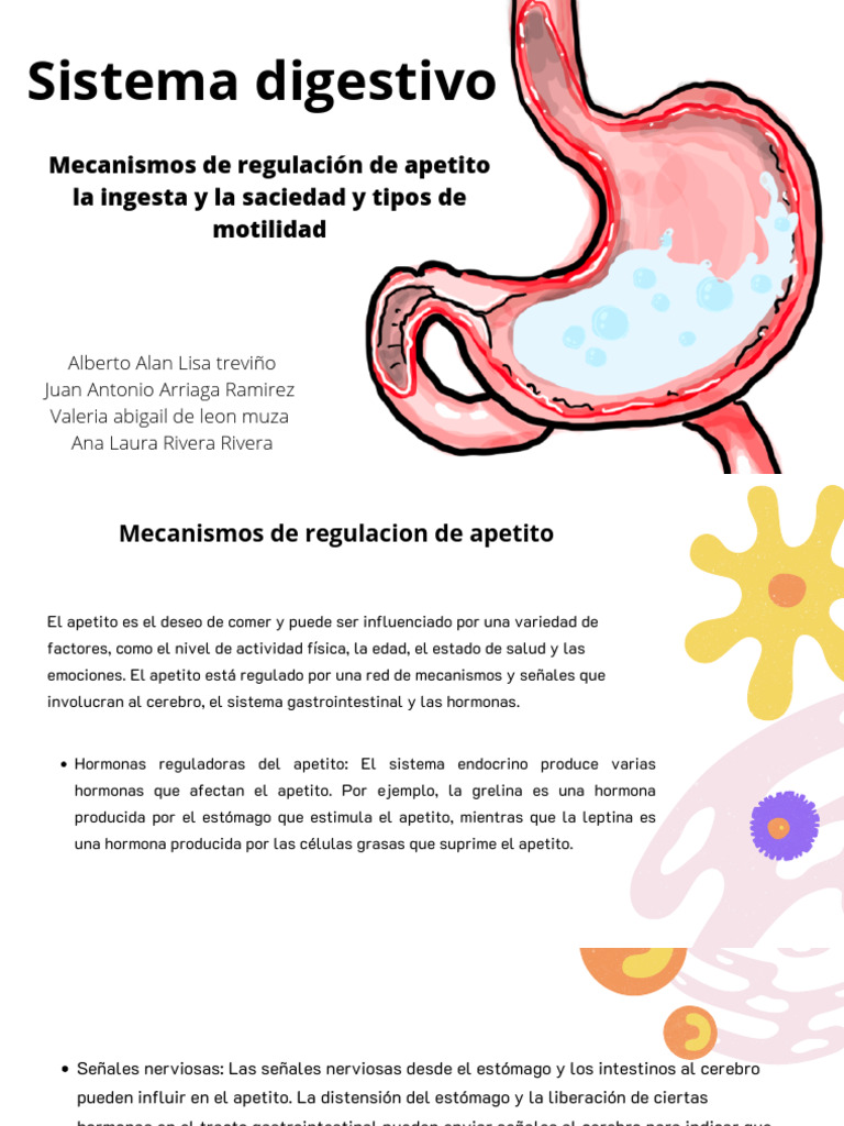 Etapas de La Respiración y Anatomía | PDF | Leptina | Especialidades ...
