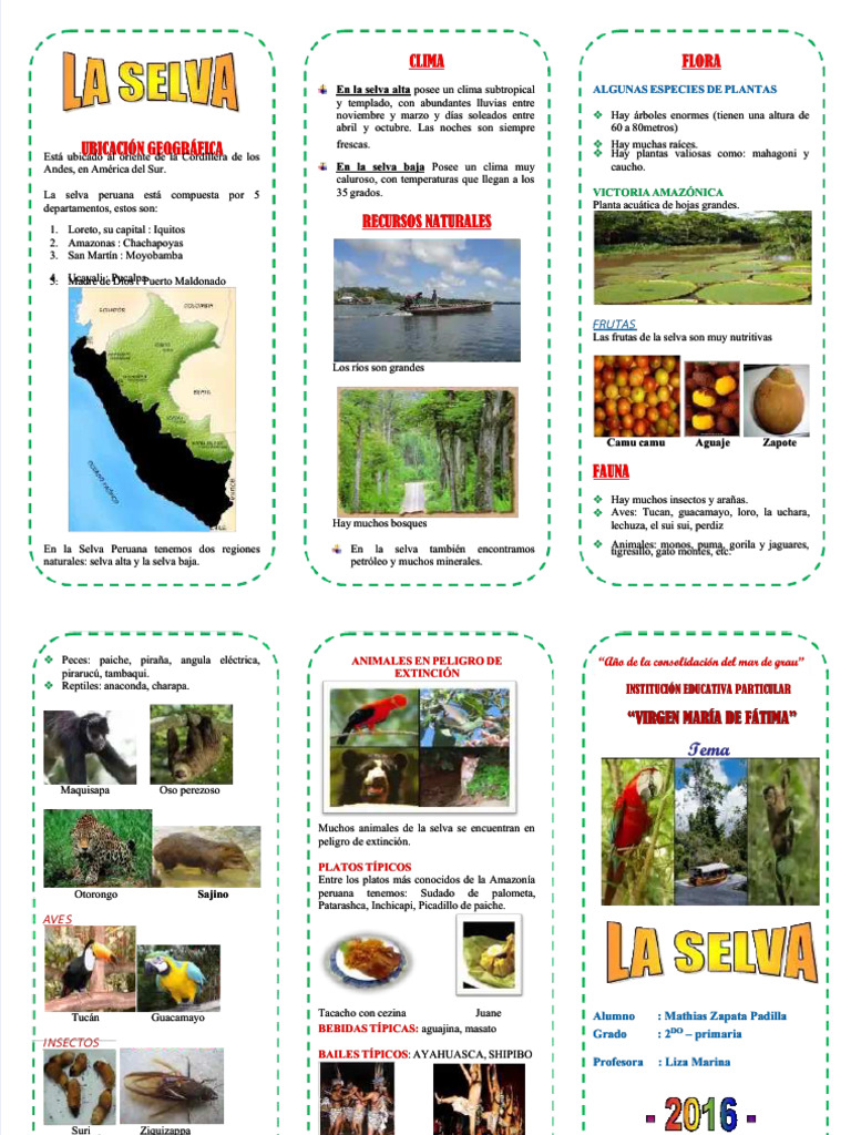 PDF Triptico Selva Peruana - Compress | PDF | Selva amazónica | Selva