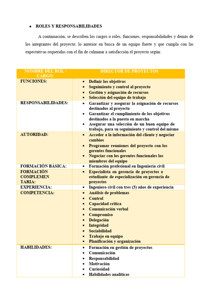 Roles y Responsabilidades | PDF | Ingeniería | Business