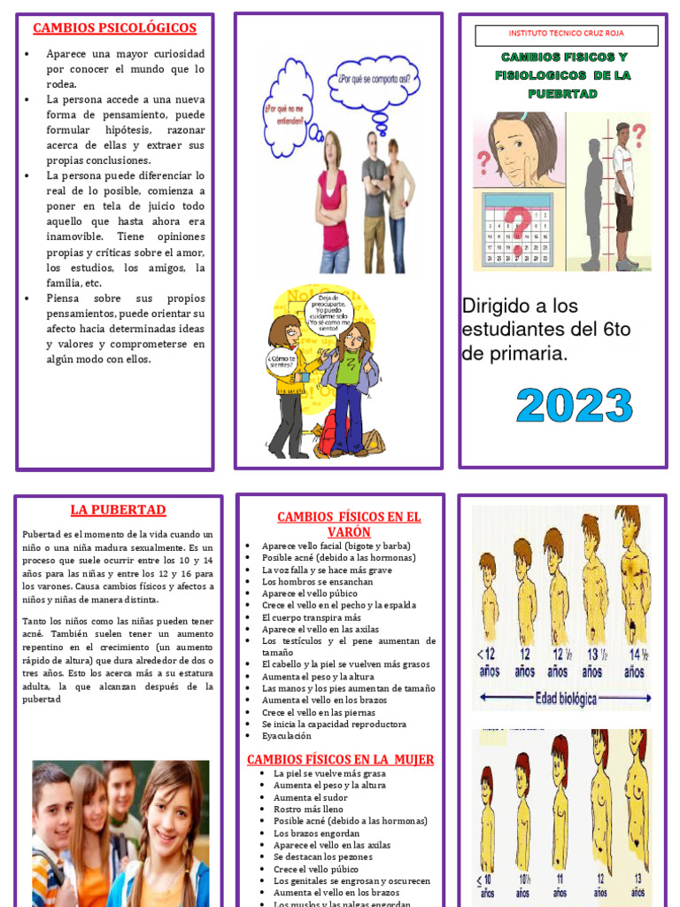 Tríptico de La Pubertad1 | PDF | Pubertad | Sexo