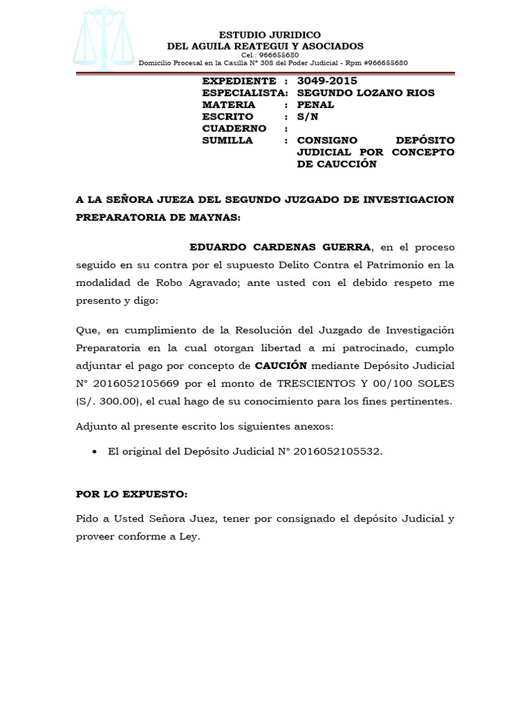 Modelo Consigno Caucion Penal | PDF | Ley politica | Esfera pública