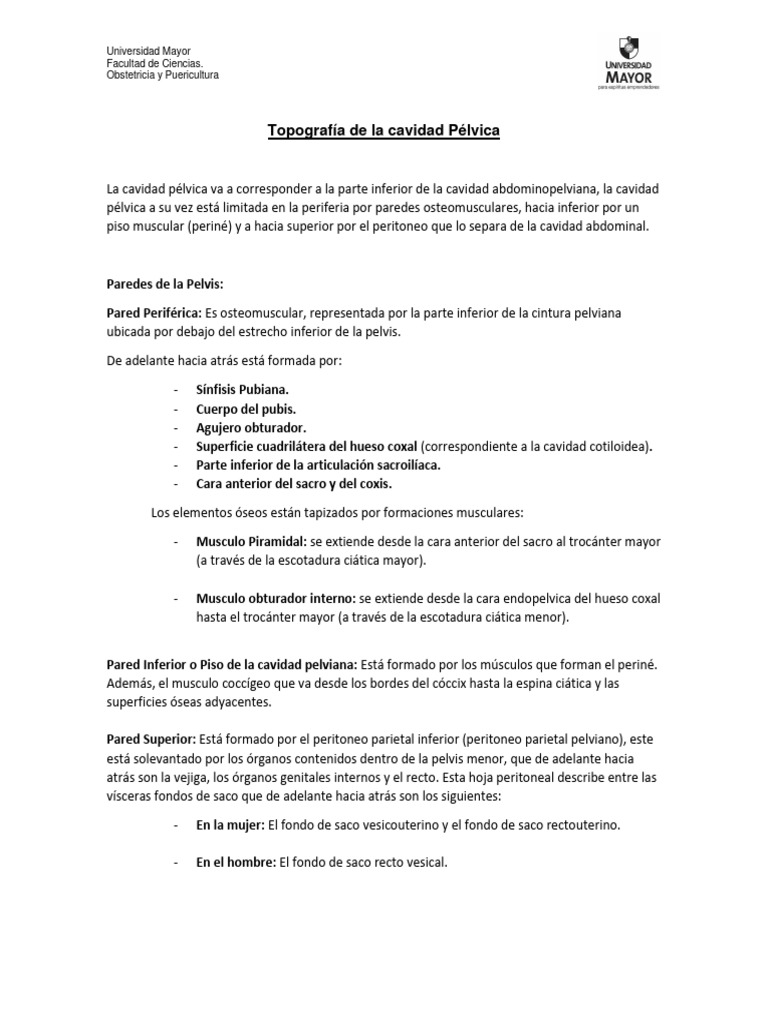 Topografia De La Cavidad Pelvica Pdf Pelvis Anatomía Humana